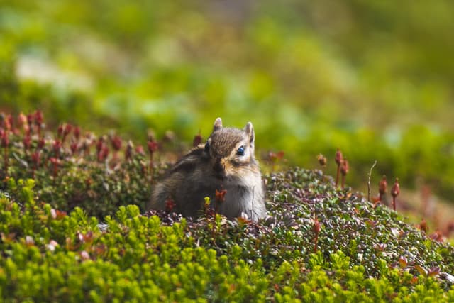 Portfolio | Deploy on Friday